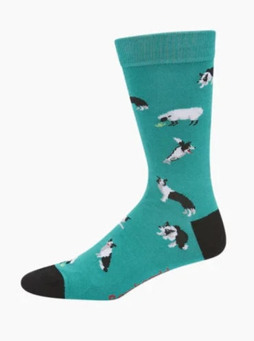 Womens Border Collie Socks – Clevedon Woolshed