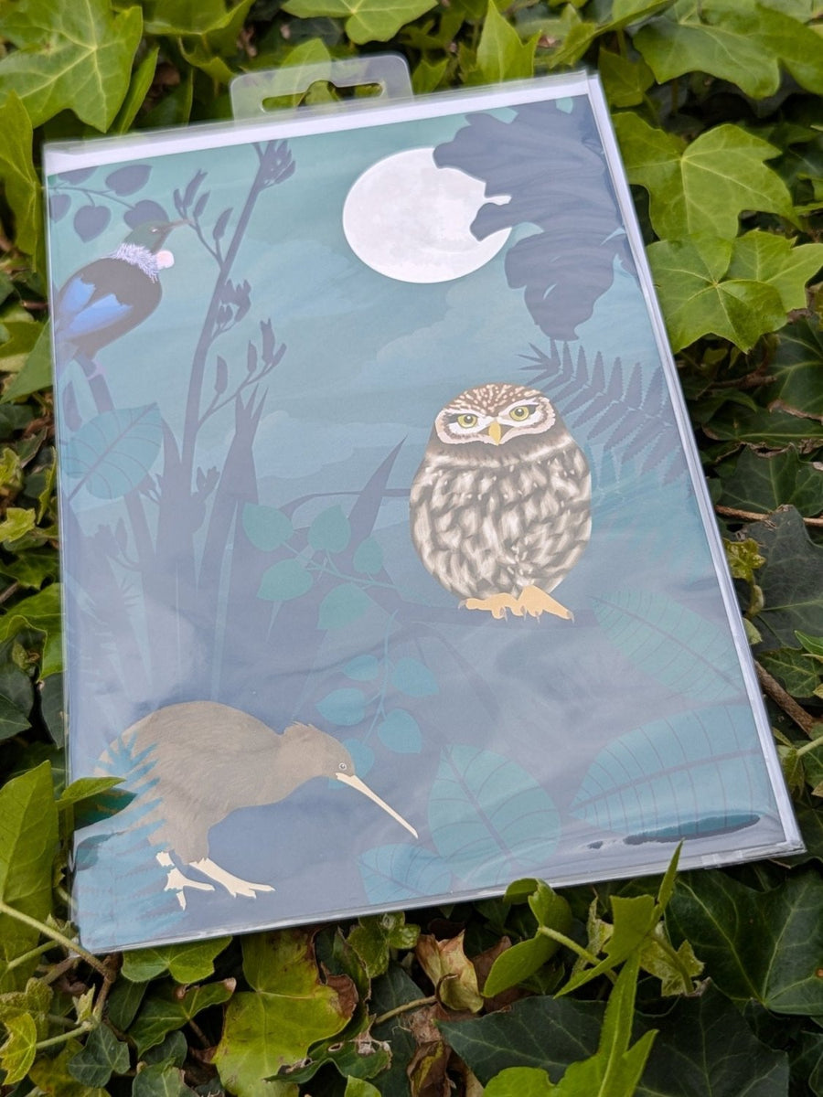 Sounds of NZ Bird Calls Card - Kiwi, Tui, Ruru – Clevedon Woolshed